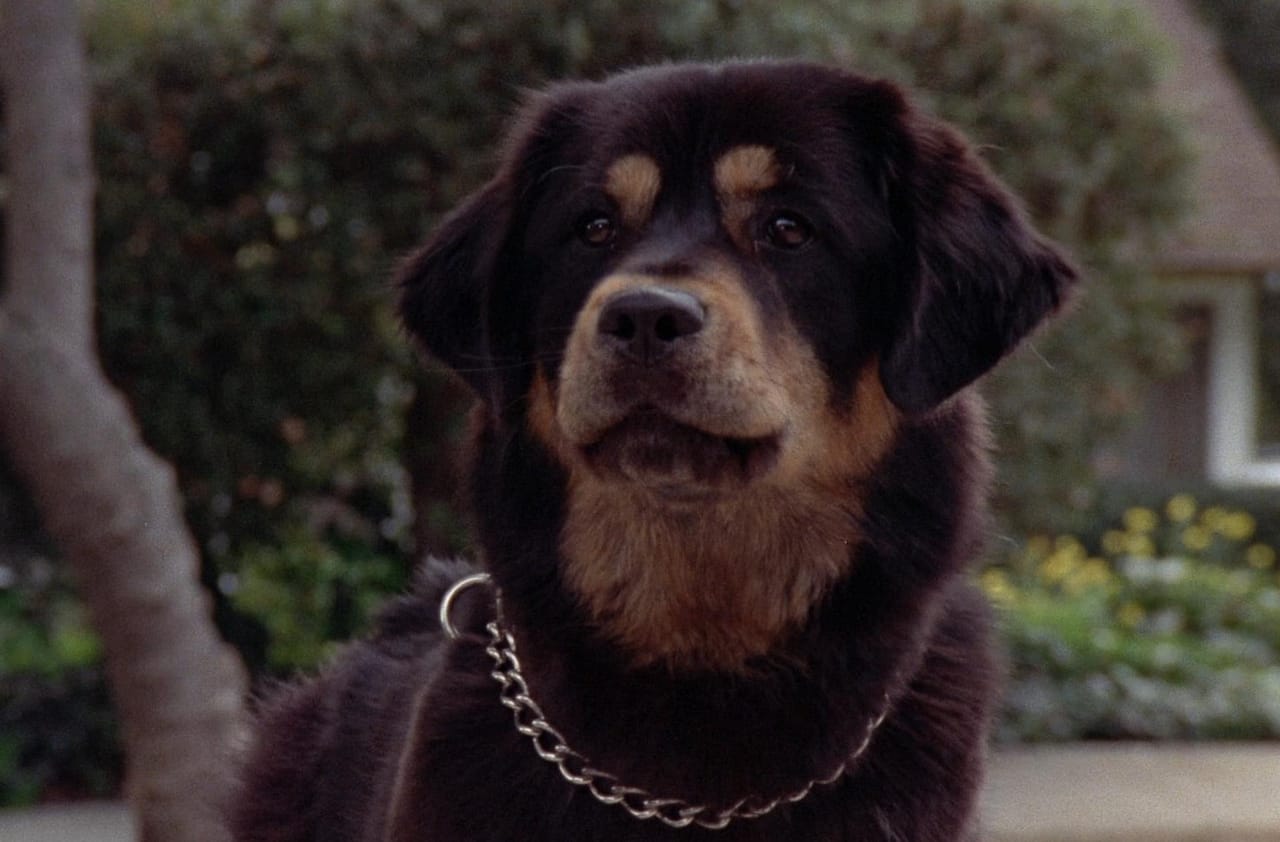 Experiment #291 - October 10, 2023